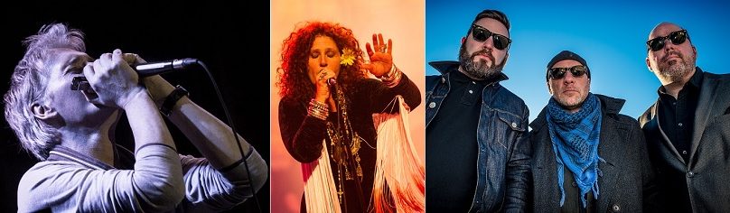 Le VIP en Blues 2018 sera un grand rendez-vous musical et gourmand ...