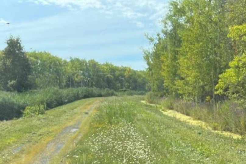 Environnement : CEZinc met de l’avant des initiatives écologiques ...